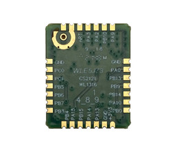 Wireless Connectivity Long Range Lora Module For Iot